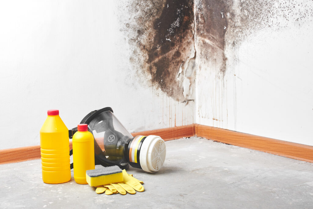 Mold Removal Services | Black Mold Remediation | Lawton, CA