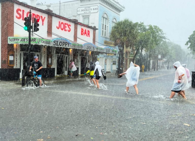 A Guide to Surviving the Storm | Safety Tips | 2021